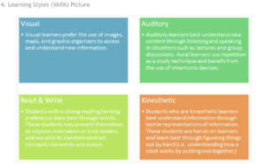 Personal Skills Audit & Action Plan - Developing Professionals (Man 1087)