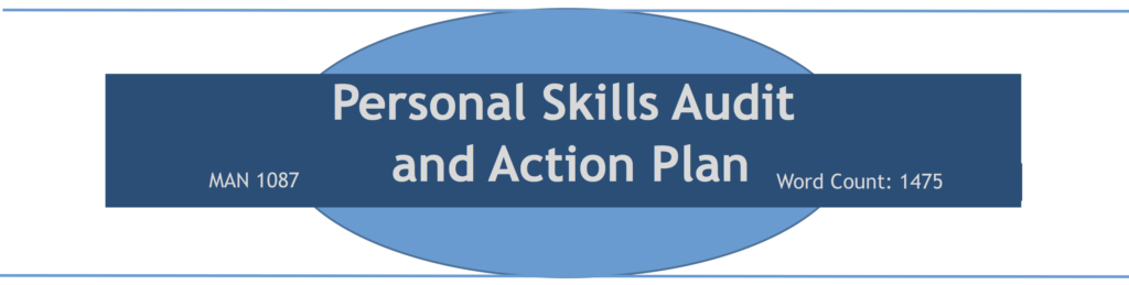 Personal Skills Audit & Action Plan - Developing Professionals (Man 1087)